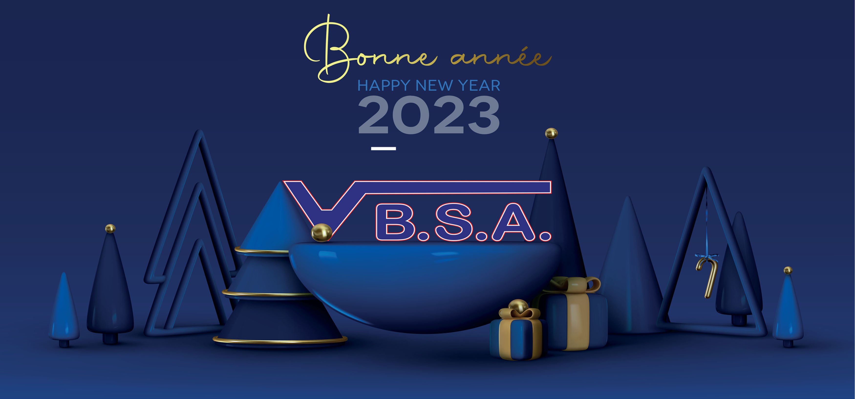 Site internet VBSA