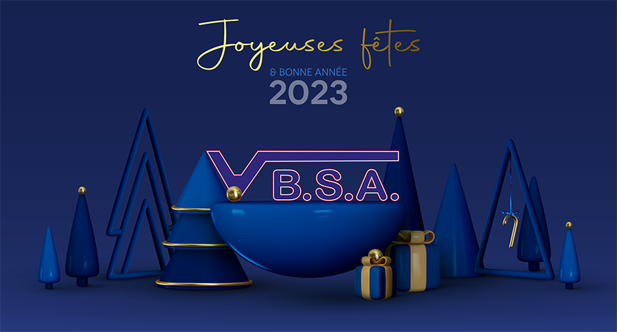 Site internet VBSA